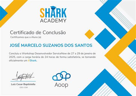Servicenow Developer Certificate Sharkacademy Backend
