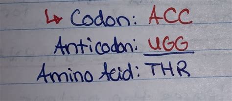 Translation Flashcards Quizlet