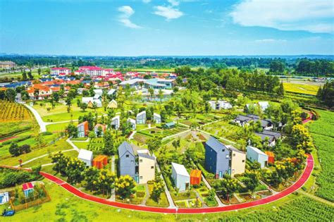 成都市新津区数字农博 乡村振兴奏响丰收新乐章 四川日报电子版