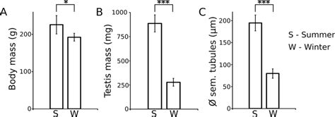 Comparisons Of Three Morphometric Parameters Between Summer And Winter
