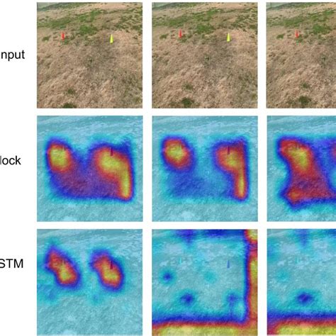 Feature Map Visualization Of Consecutive Frames Download Scientific Diagram