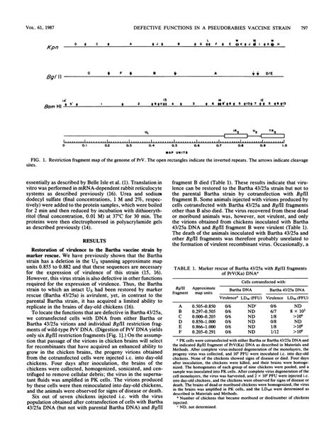 Genome Location And Identification Of Functions Defective In The Bartha Vaccine Strain Of