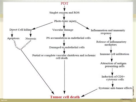 Biomedical Applications Of Quantum Dots Ppt