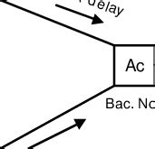 Simulated Network Topology Download Scientific Diagram