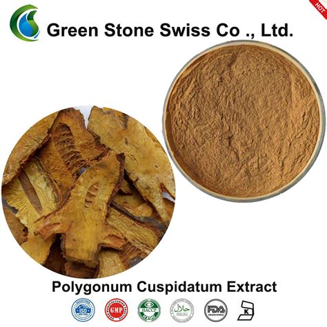 Polygonum Cuspidatum Extract Prices Sales Buy Giant Knotweed Extract Suppliers On