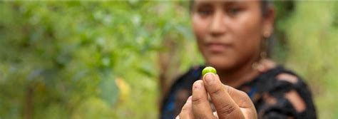 Explore Unw Wrd Knowledge Hub