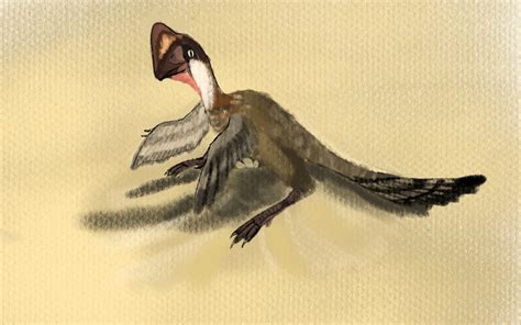 Oviraptor Philoceratops By Unenlagia90 On Deviantart