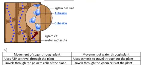 1384308 Completion Of A Work Sheet Assignment Ascentis Award