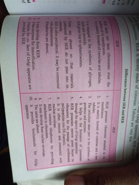 Differences Between Ser And Rer 1 Ser Does Not Bear Ribosomes Over The S