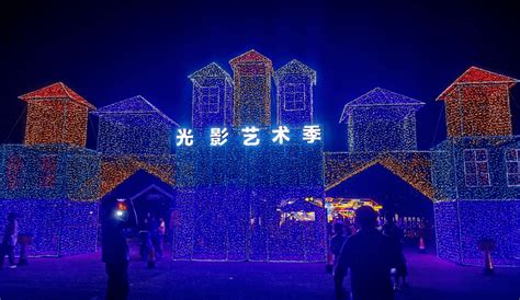 太美了夜游星河梦境共赴璀璨灯光家门口就能感受最美夜南宁 植物园 艺术季 时间表