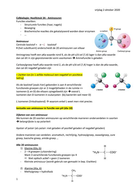 Celbiologie Hoofdstuk 3a Aminozuren Celbiologie I Structuur
