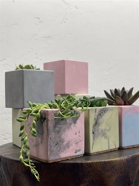 Кашпо — ціна 220 грн у каталозі Кашпо Купити товари для дому та побуту за доступною ціною на