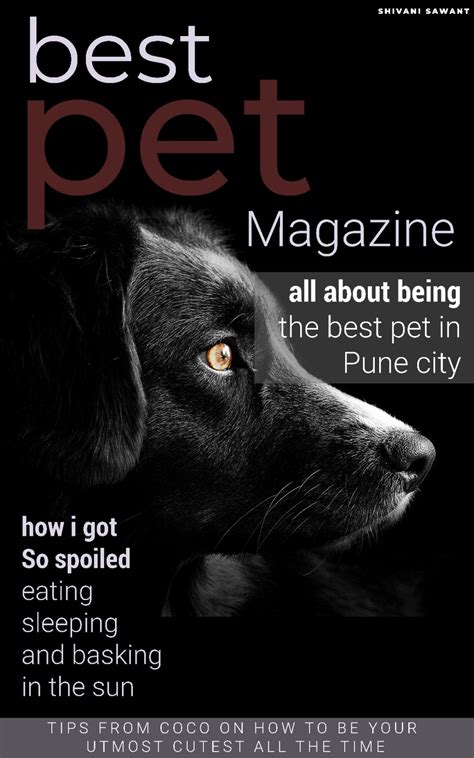 Shivani Sawant On Linkedin Connections Graphicdesign Internship Oasisinfobyte