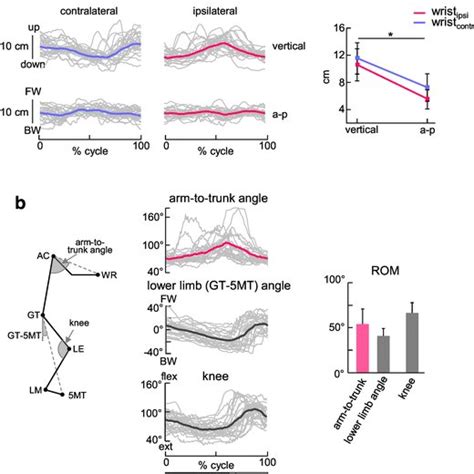Characteristics Of Upper And Lower Limb Kinematics In The Presence Of Download Scientific