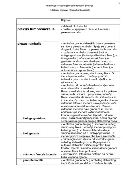 Anatomija Životinja Plexus Lumbosacralis Pdf
