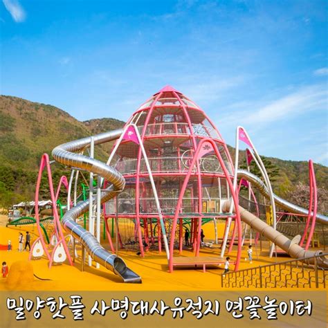 아이와 가볼만한곳 밀양 사명대사 유적지 연꽃 놀이터 표충사 놀이터 버금가는 놀이터 개장 네이버 블로그