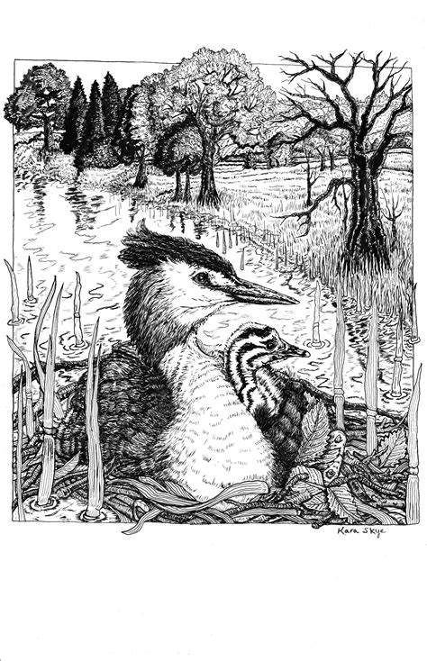 my project for course dip pen and ink illustration capturing the natural world domestika