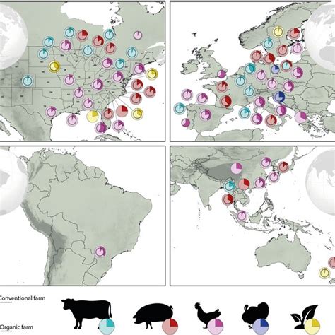 Patterns Of Antimicrobial Resistance In Enterococcus The Prevalence Of Download Scientific