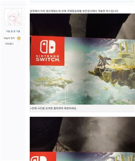 뉴스 젤다의 전설 티어스 오브 킹덤 닌텐도 스위치 에디션 유출 디지털 컴퓨터 폰 It 에펨코리아