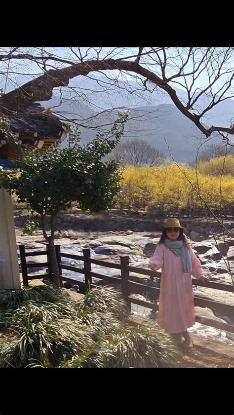 꽃할매의동네한바퀴엑티비시니어여행수첩 바다와 강이 있는 여행지는 항상 옮고 정답인듯 마음이 평온해지고 머리가 맑아진다 나를 행복하게 하는 꽃들이 겨울잠을 자고