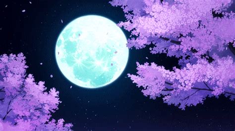 Cherry Blossom Gif Icegif