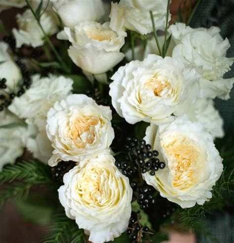 Кружовник цветочное кафе Added Кружовник цветочное кафе