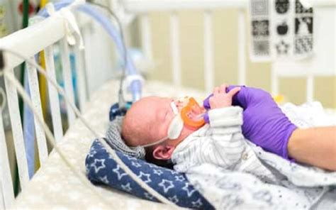 Pediatric Digestive Well Being Knowledgeable Care And Holistic Options