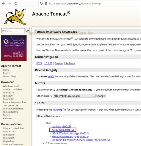 Tomcat Penetration Testing Seguridad PY