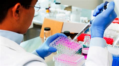 Twiggy Forrest Set Aussie Psychologist Task To Save World From Paediatric Brain Cervical