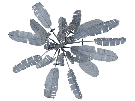 헬리코니아 로스트라타 3d 모델 16 Max Obj 3ds Fbx Free3d