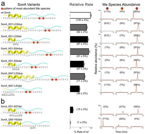 Relative Rates And Methylation Patterns For Sona Variants The Left Download Scientific Diagram