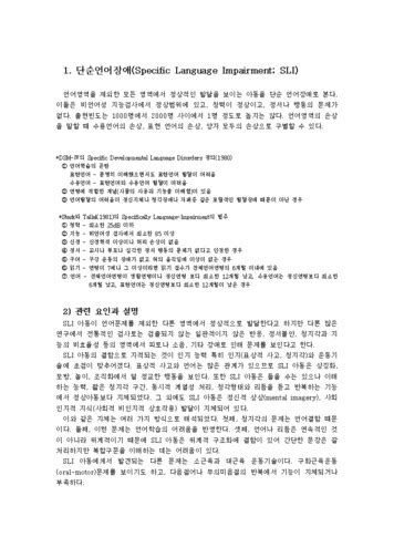 언어 발달장애 요약3
