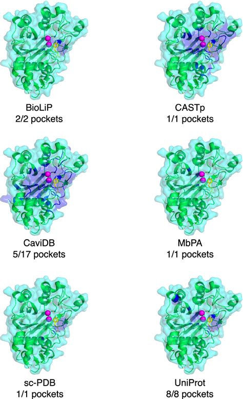 Figure 3 From Databases Of Ligand Binding Pockets And Protein Ligand