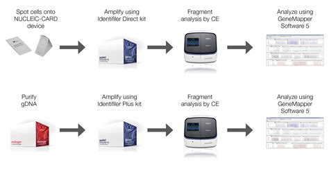 Raising The Bar Of Cell Line Authentication