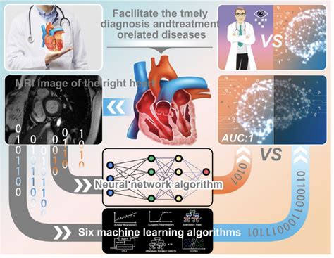 Ai赋能心血管诊疗：阜外医院潘湘斌团队持续发力医学人工智能领域 严道医声网