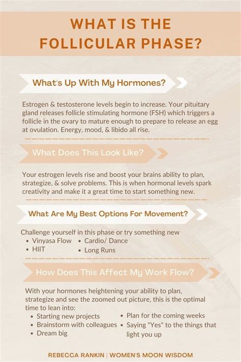 What Is The Ovulation Phase Artofit