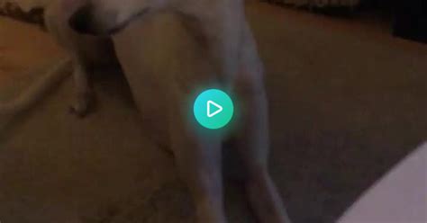 When Mum Takes Too Much Time Eating Album On Imgur