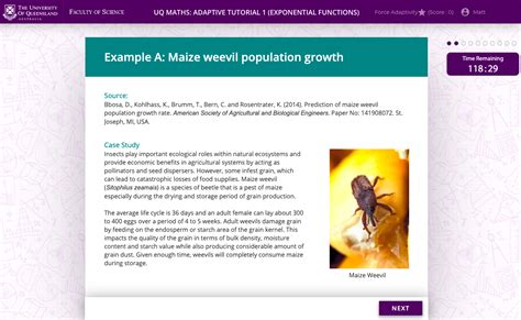 Adaptive Mathematics