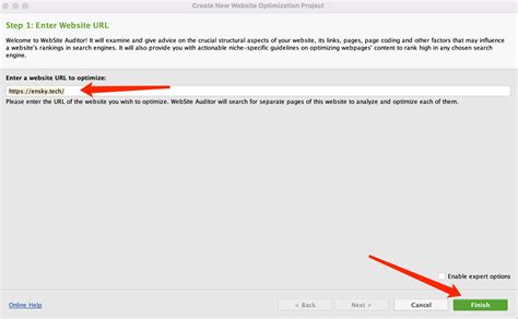 Website Auditor Ensky的跨境笔记