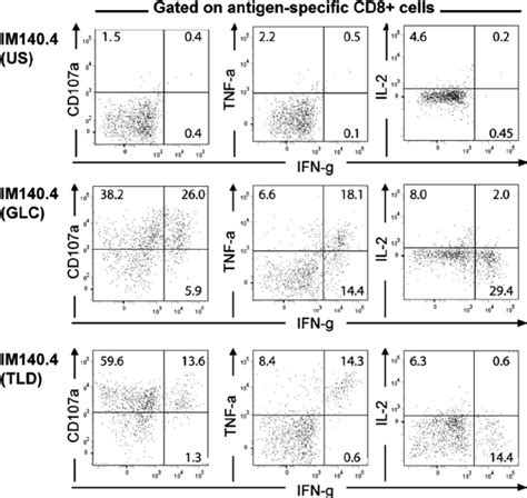 Analysis Of The Functional Capacity Of Glc And Tld Specific