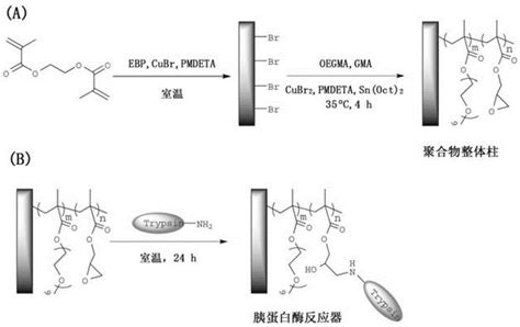 A Kind Of Polymer Monolithic Column And Its Preparation Method And Its Application In The