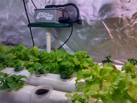 The Hydromazing Smart Garden System Arduino Project Hub