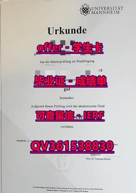 补办曼海姆大学毕业证成绩单 Pdf