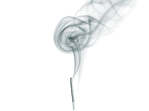 “colpa” Del Cervello Se Non Riesci A Smettere Di Fumare Clicmedicina