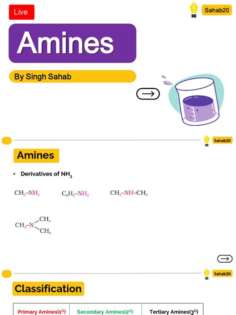 Amines Notes Pdf