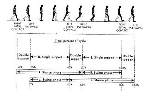 Figure 1 From Walking Pattern Generation For Humanoid Robots Semantic