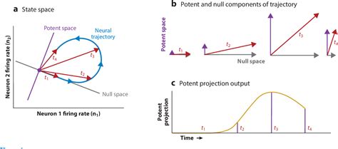 Figure 6 From Computation Through Neural Population Dynamics