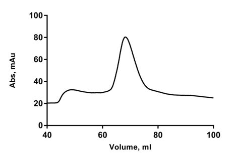 Size Exclusion Chromatography Molecular Weight In Steps