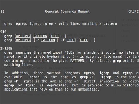 Linux Find File Recursive Pikolbull