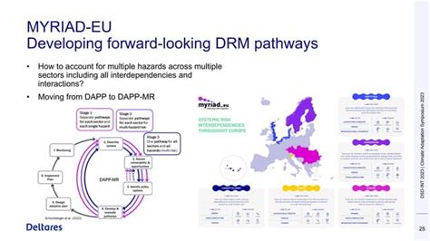 Dsd Int 2023 Dynamic Adaptive Policy Pathways Dapp Theory